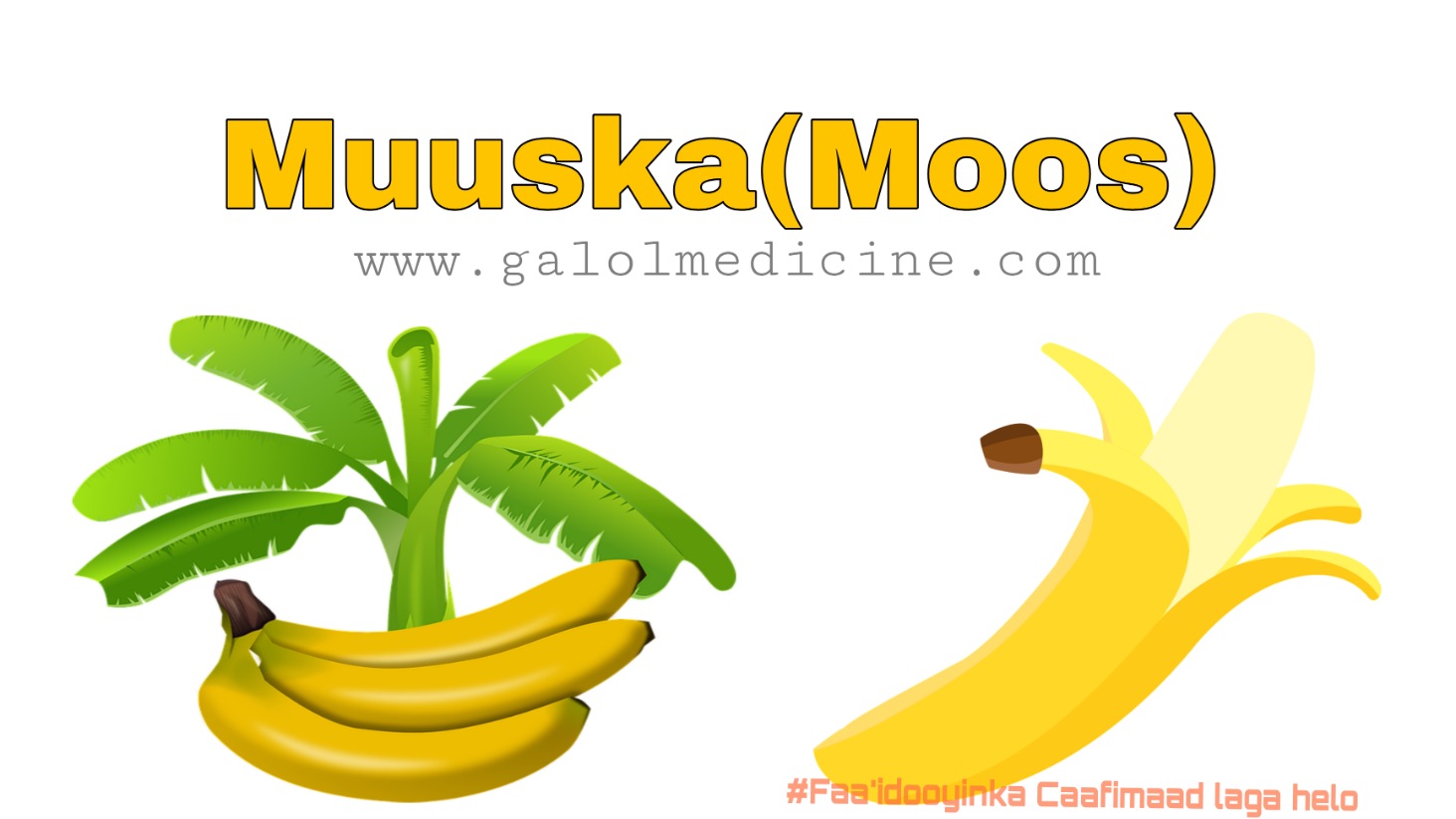 Muuska(Moos) - Faa'idooyinka Caafimaad laga helo | Galolmedicine