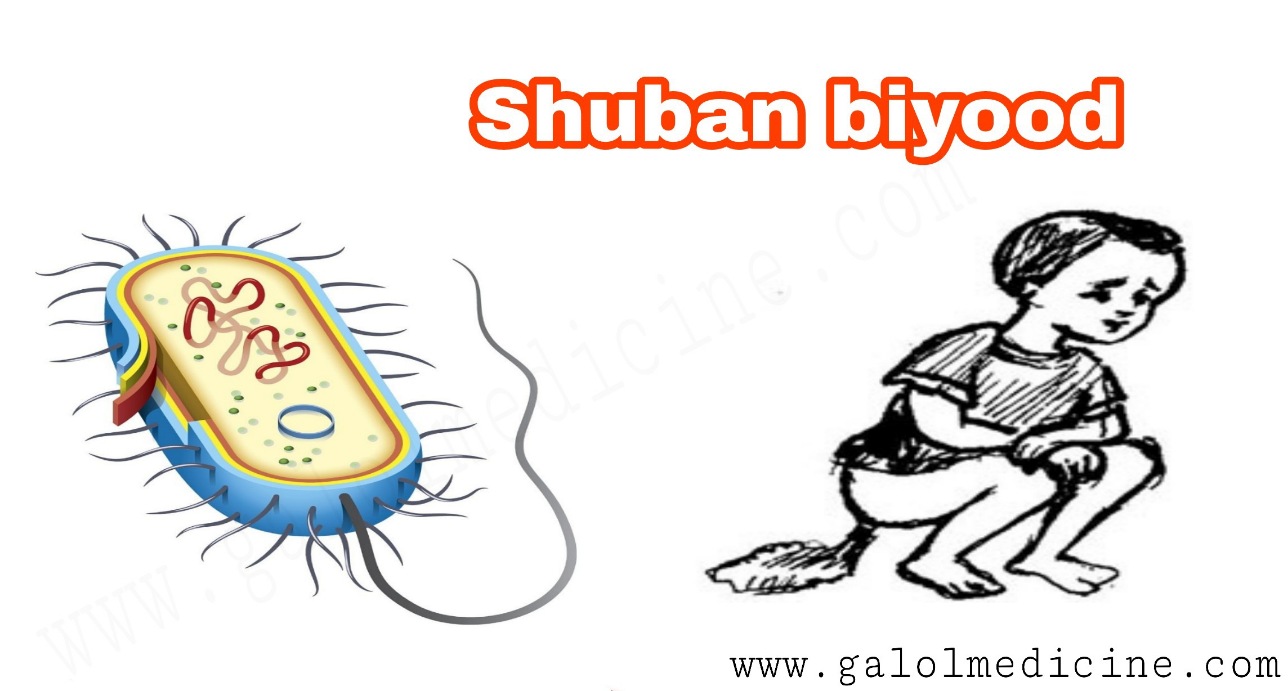 Shuban biyood | Galolmedicine