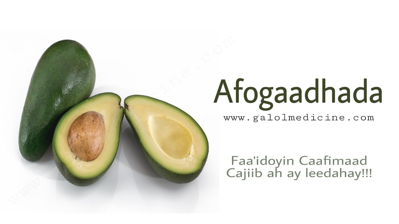 Afogaadhada(Afogaado) | Galolmedicine